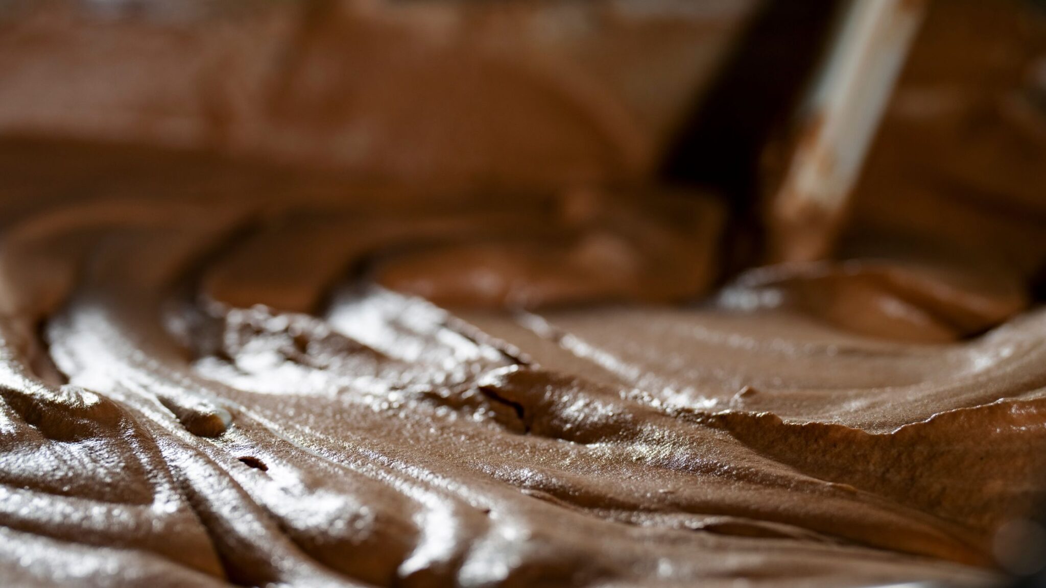Exalta Chocolate | Pasión por el cacao y el chocolate artesanal